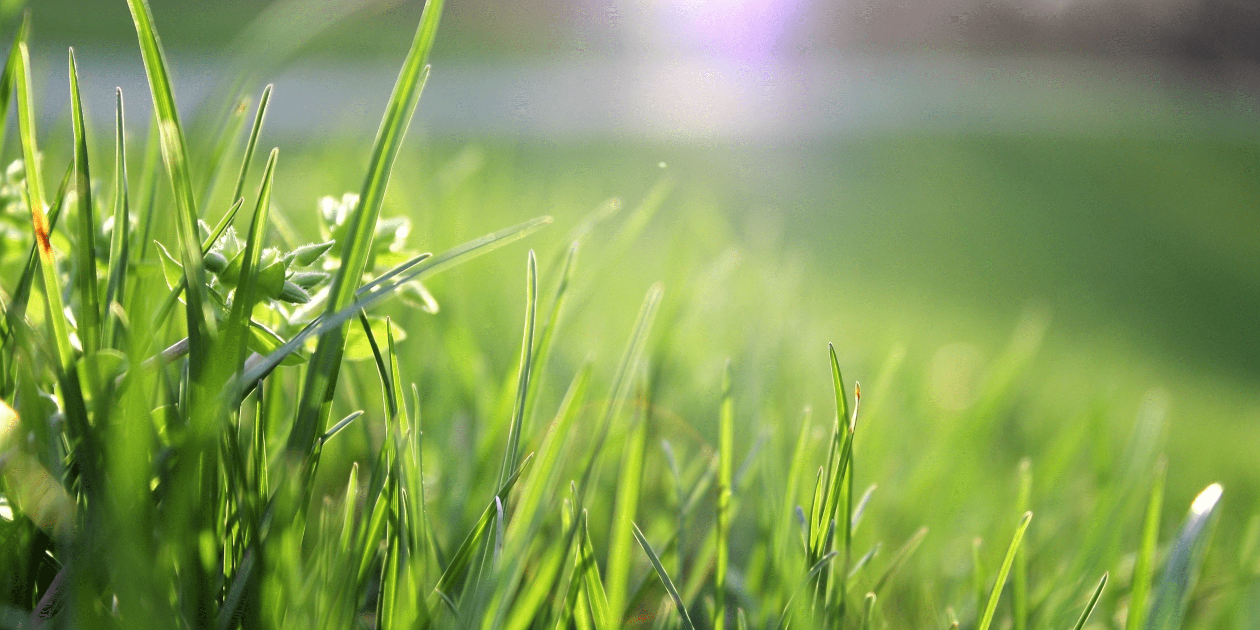 Biocycle Australia – Trusted Septic & AWTS Solutions