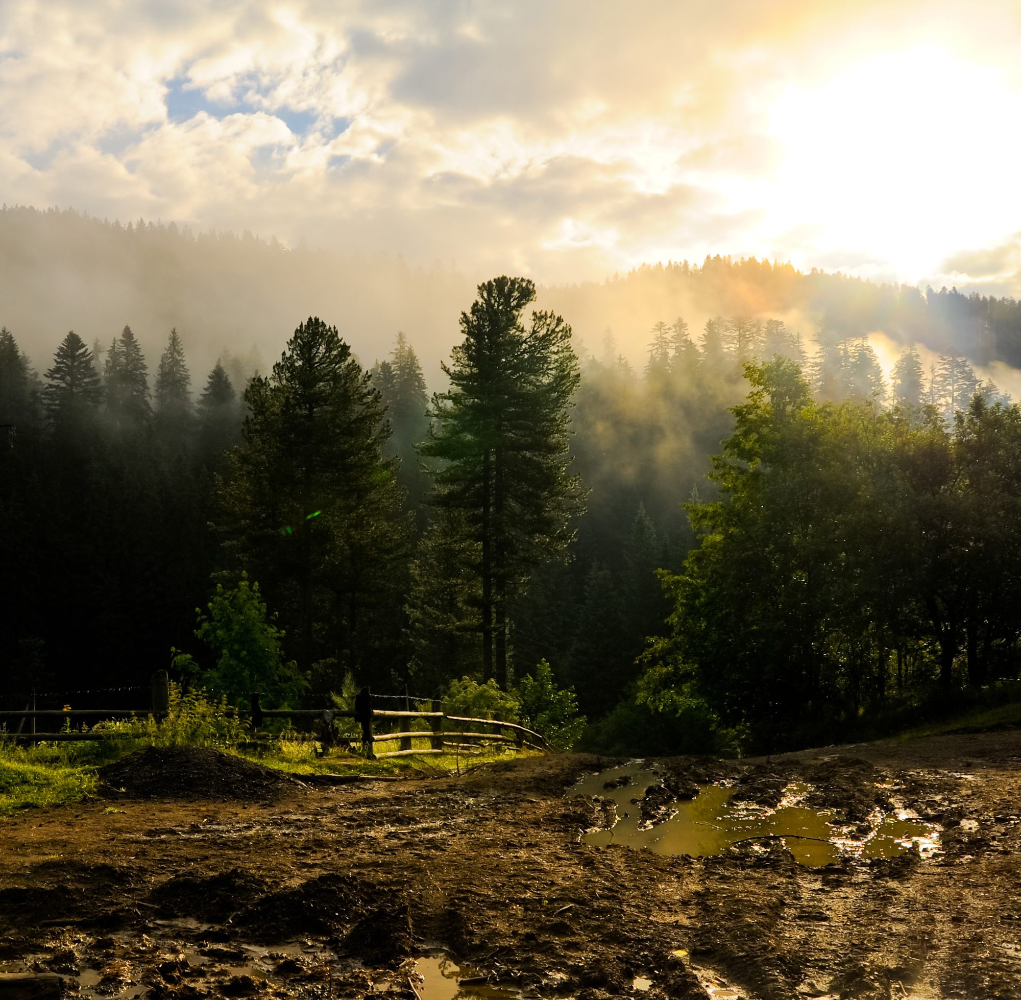 Biocycle Australia – Trusted Septic & AWTS Solutions